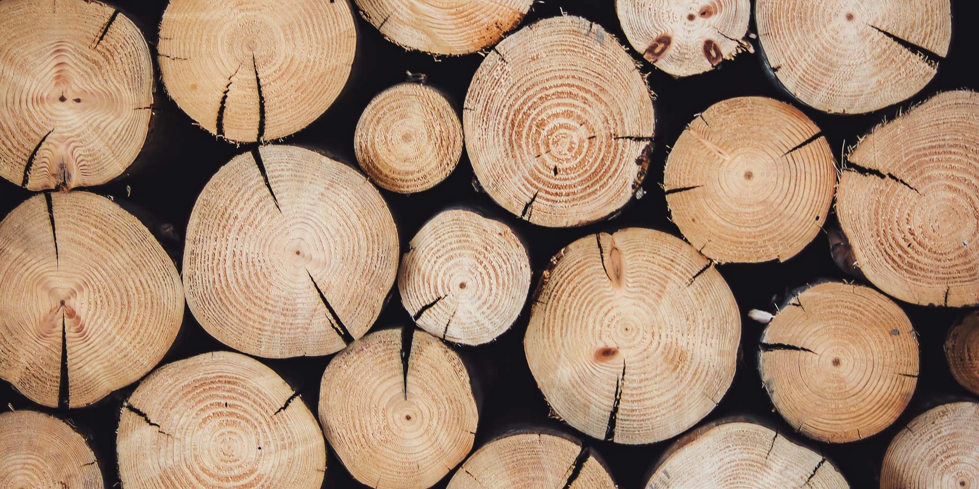 Rohstoff Holz – dfwr