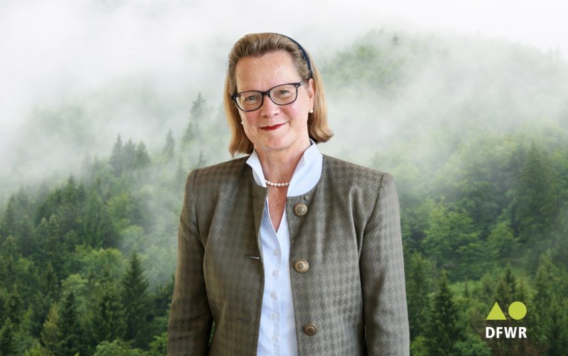 Geschäftsstelle – dfwr